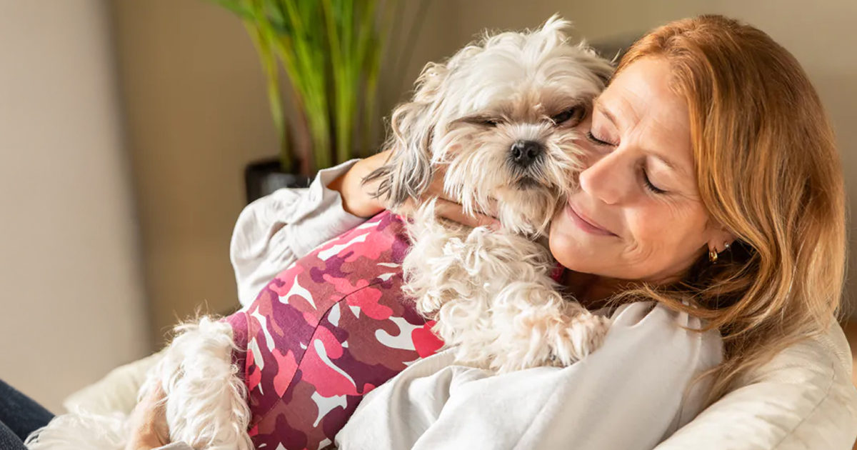 Redkiwi | Happy pet, happy life!